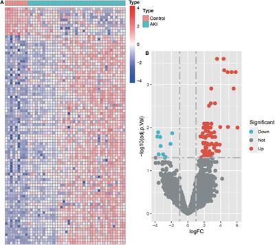 Frontiers | Machine learning algorithm-based identification and verification of characteristic ...